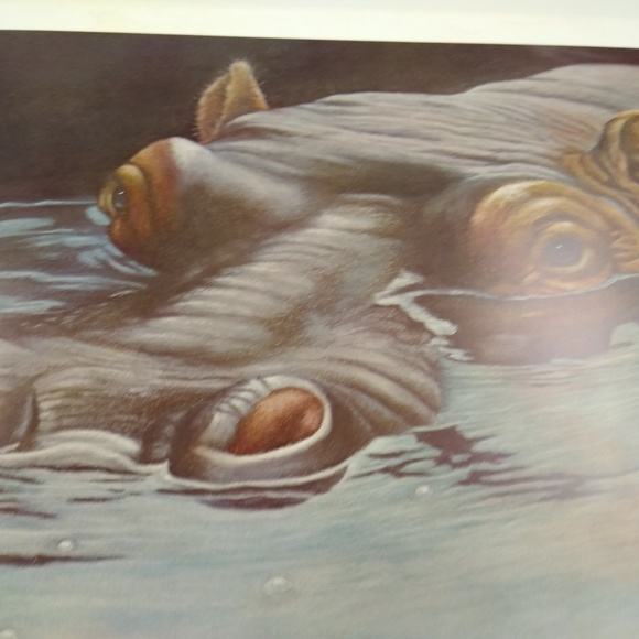Harold Rigsby | Wall Decor | Hippopotamus By Harold Rigsby 3220 Signed ...